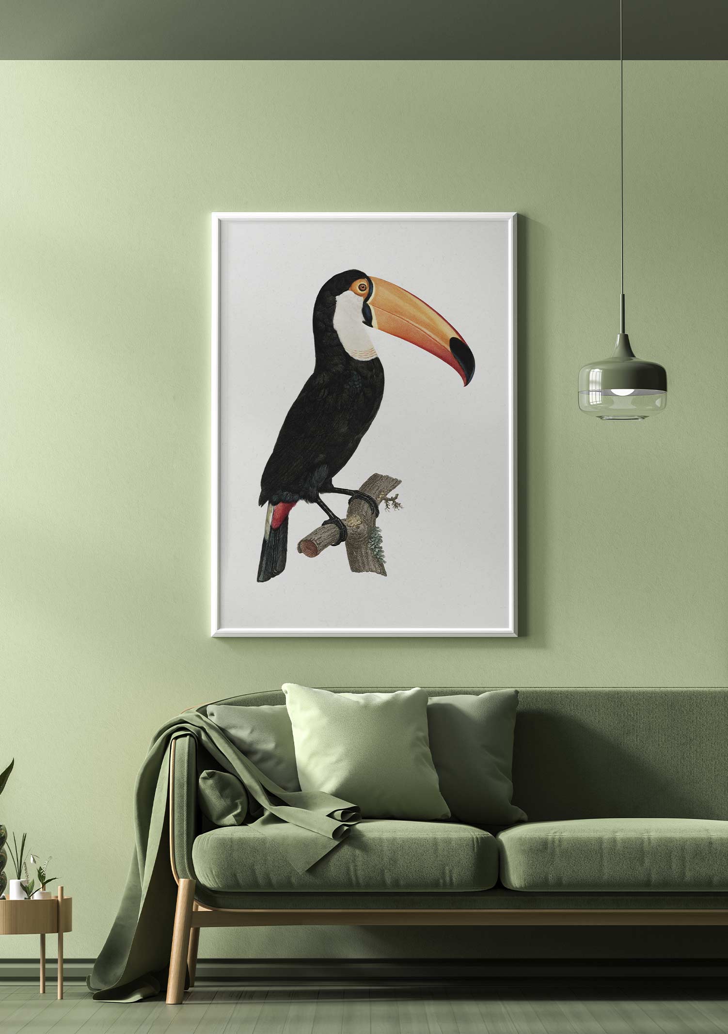 Póster Tucán Toco | Laamina.com