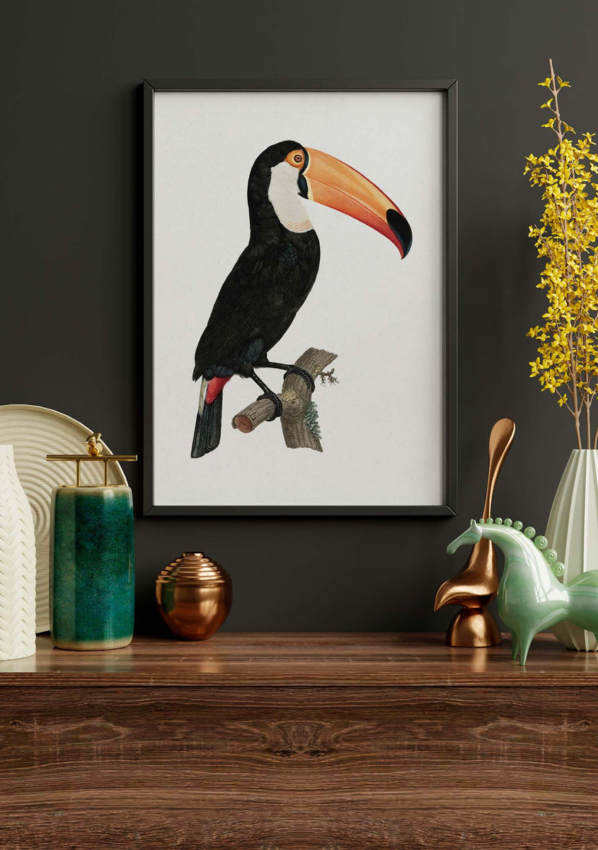 Póster Tucán Toco | Laamina.com