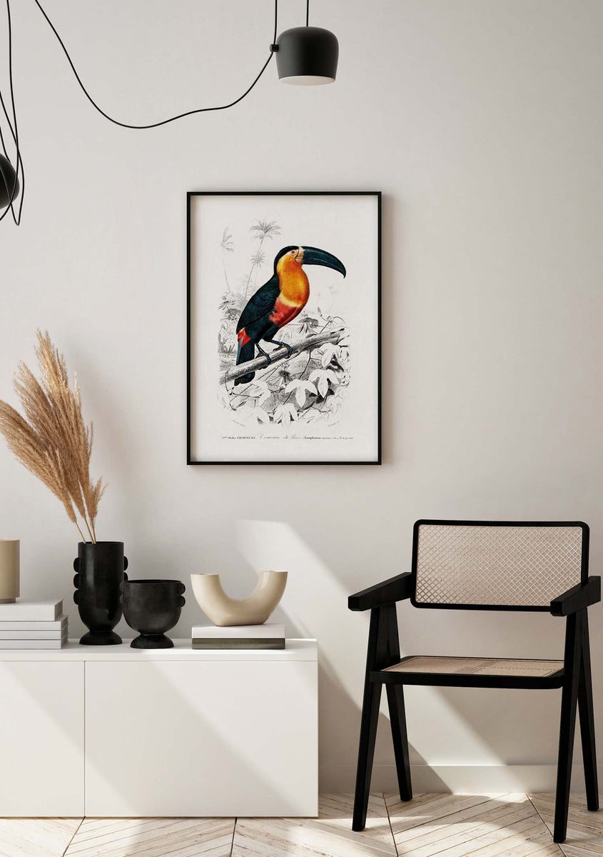 Póster Tucán | Laamina.com